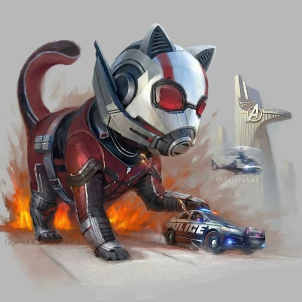 Gatos Super Heróis: Veja como seria o gato de cada Super Herói da ...