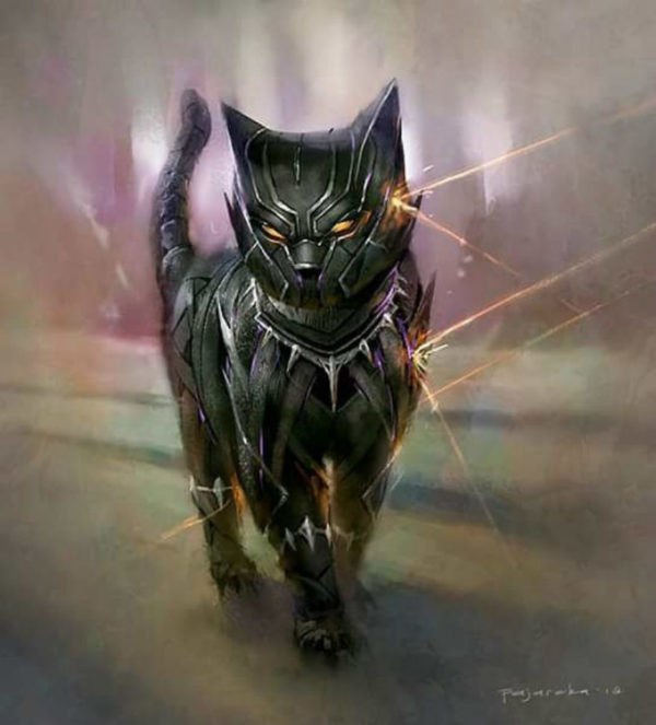 Gatos Super Heróis: Veja como seria o gato de cada Super Herói da ...